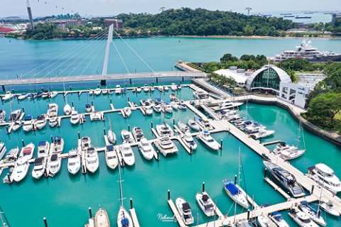 7 Fun Facts about Marine Life - Marina Keppel Bay